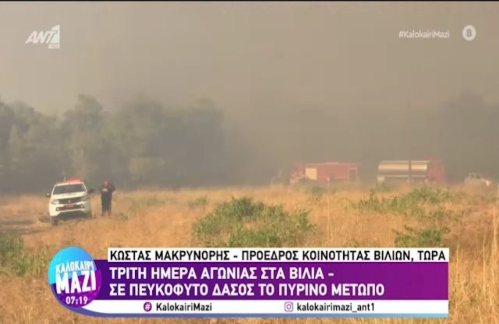 Τρίτη ημέρα αγωνίας στα Βίλια - Σε πευκόφυτο δάσος το πύρινο μέτωπο ...